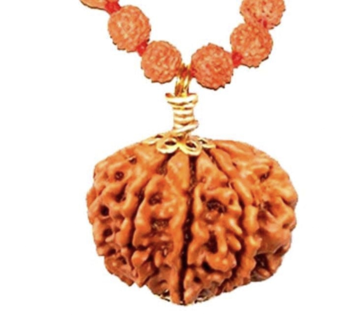 9 Faced Original Nepali Abhimantrit Rudraksha – Tarot Priyanka Kapil
